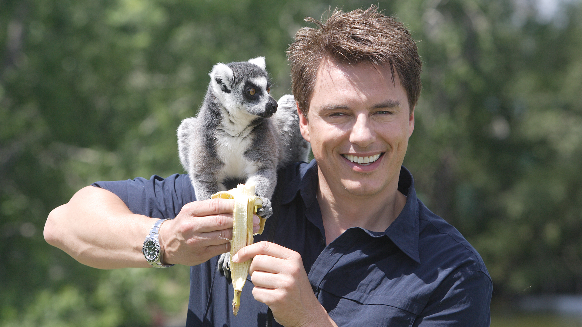 Watch Animals at Work Season 1 Episode 23 | Pluto TV